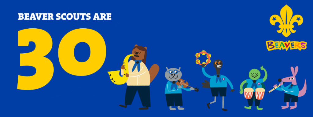 Beaver Scouts are 30! - 5th Testwood Scouts